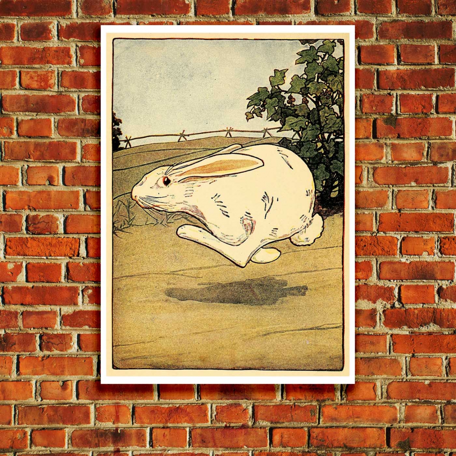 Peter Rabbit, Running to the Gate | Vintage Children's Book ...
