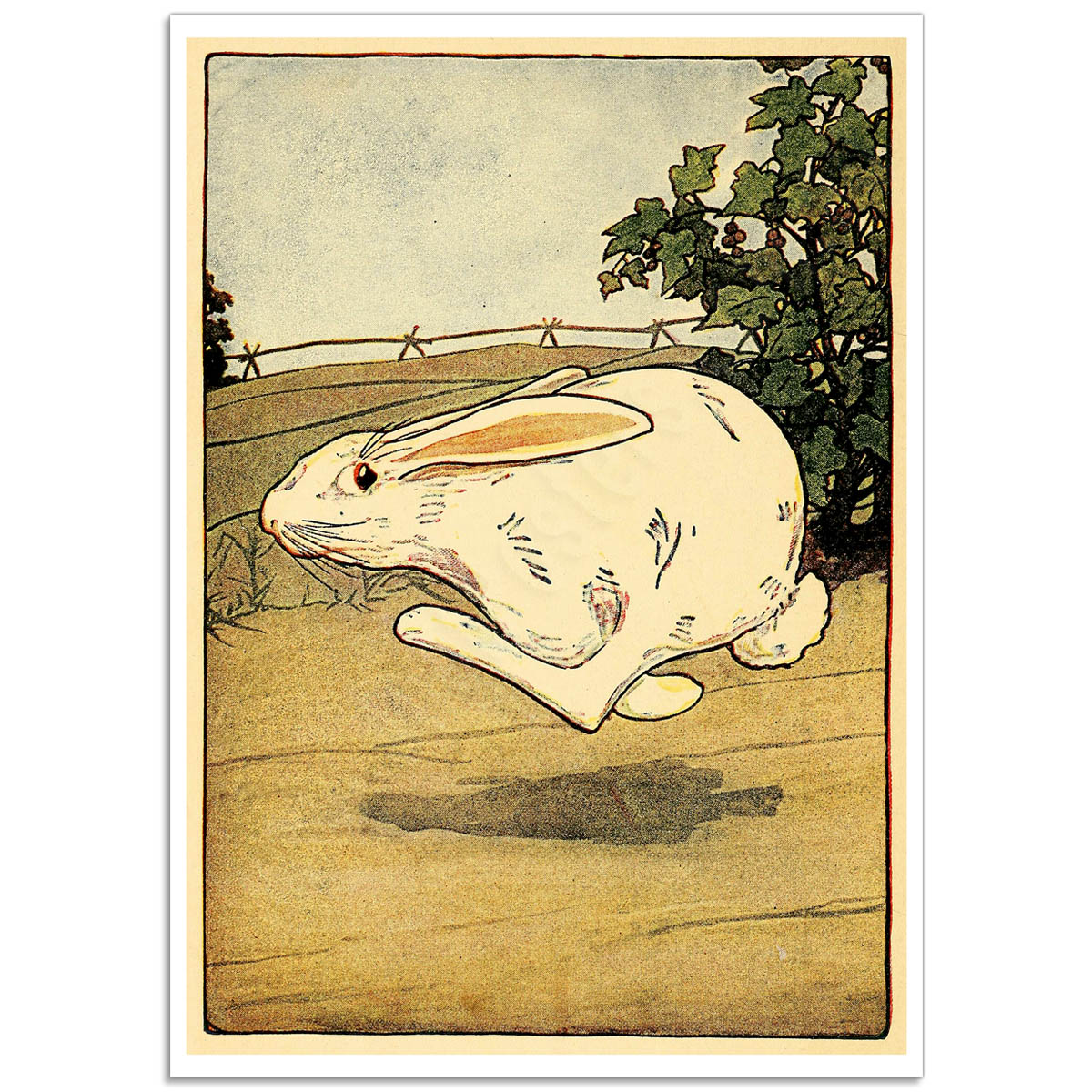 Peter Rabbit, Running to the Gate | Vintage Children's Book ...